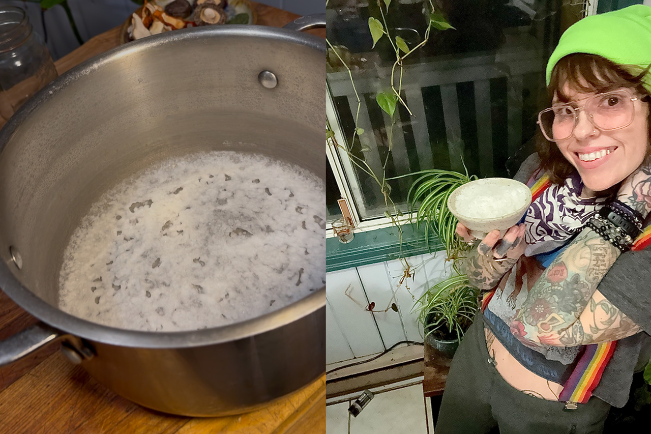 SALT: The Essential, The Dangerous, and The Historic - WHICHBETTY